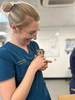 Meet The Team - Whiskers Vets